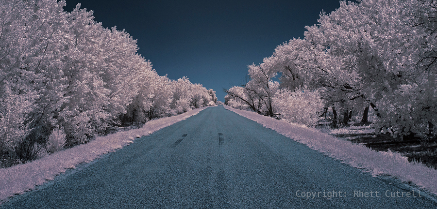 The Unseen: Infrared Photography Tips and Tricks | Active Junky