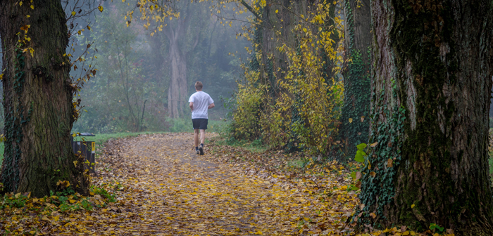 3 Top Fall Trail Running Shoes | Active Junky